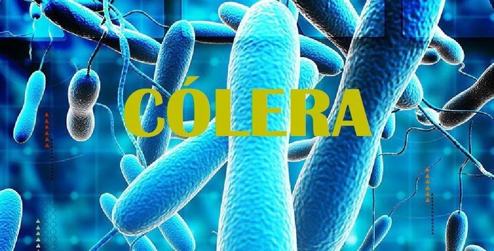 Cólera: Saiba mais - Dra. Keilla Freitas