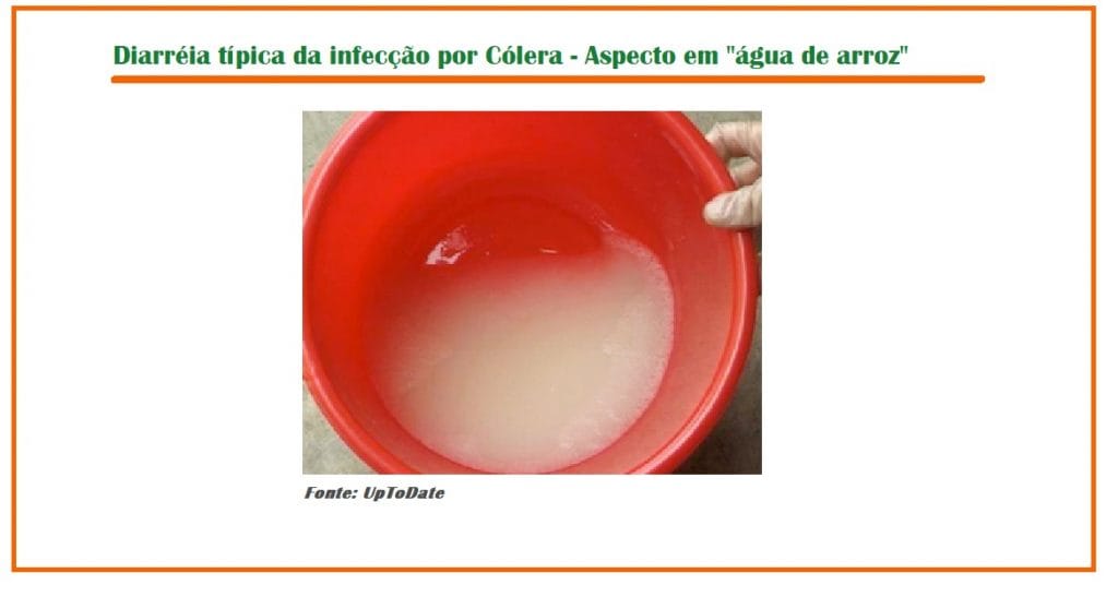 Cólera: Saiba mais - Dra. Keilla Freitas